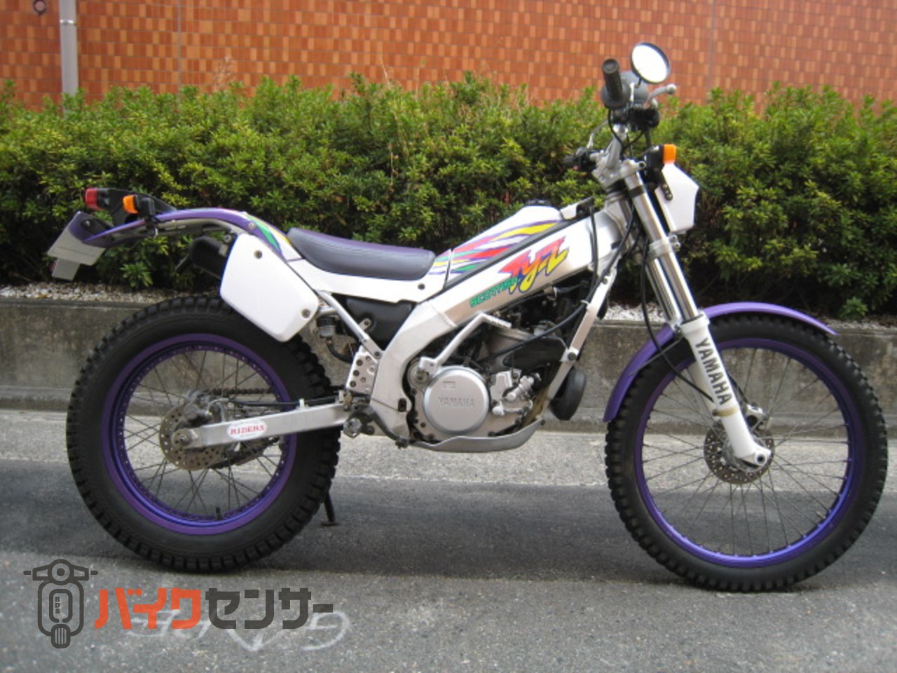 ヤマハ TY250Zスコティッシュ ノーマル ホワイト B117110| BDSバイクセンサー