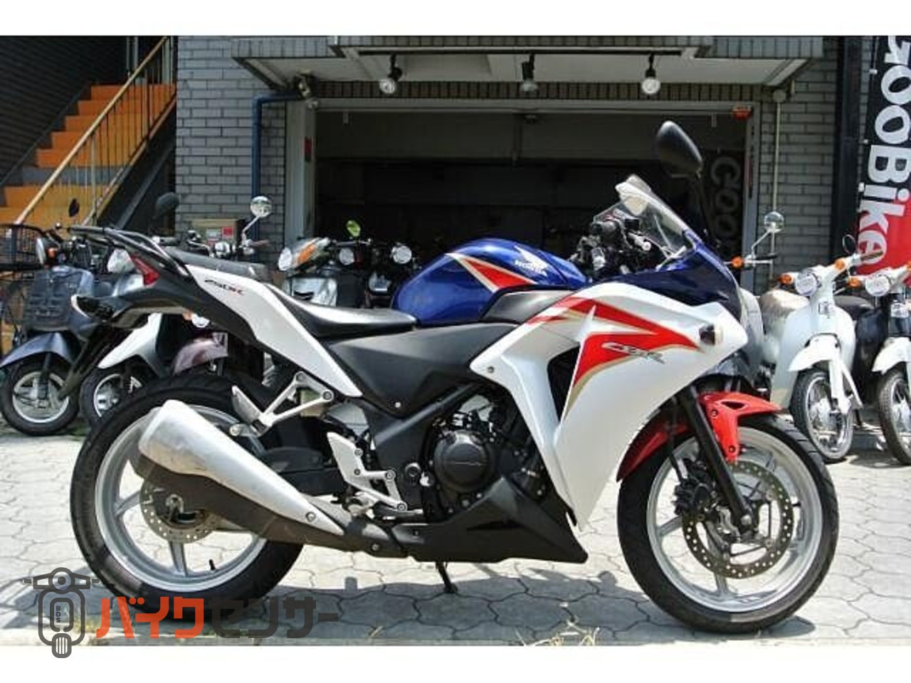 ホンダ CBR250R リアキャリア付 B172393| BDSバイクセンサー