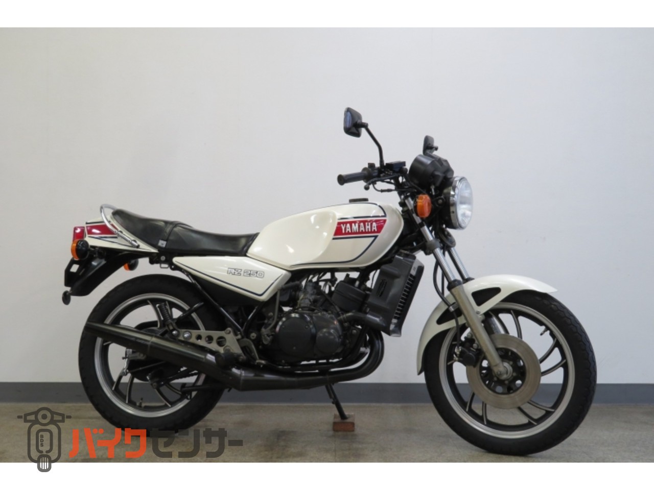 ヤマハ RZ250 1オーナー ノーマル車 B294256| BDSバイクセンサー