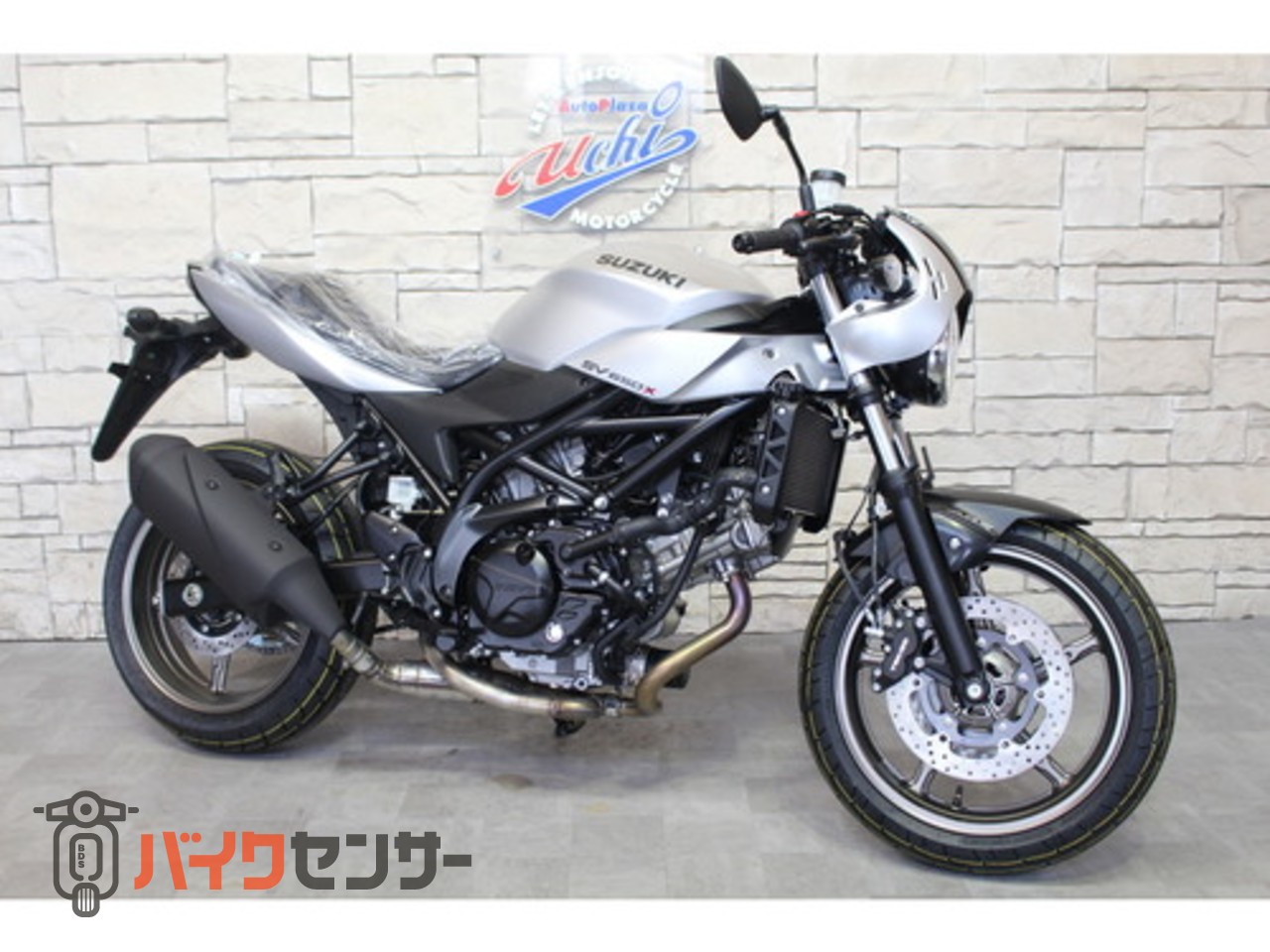スズキ SV650X 新車 2024年モデル B315742| BDSバイクセンサー