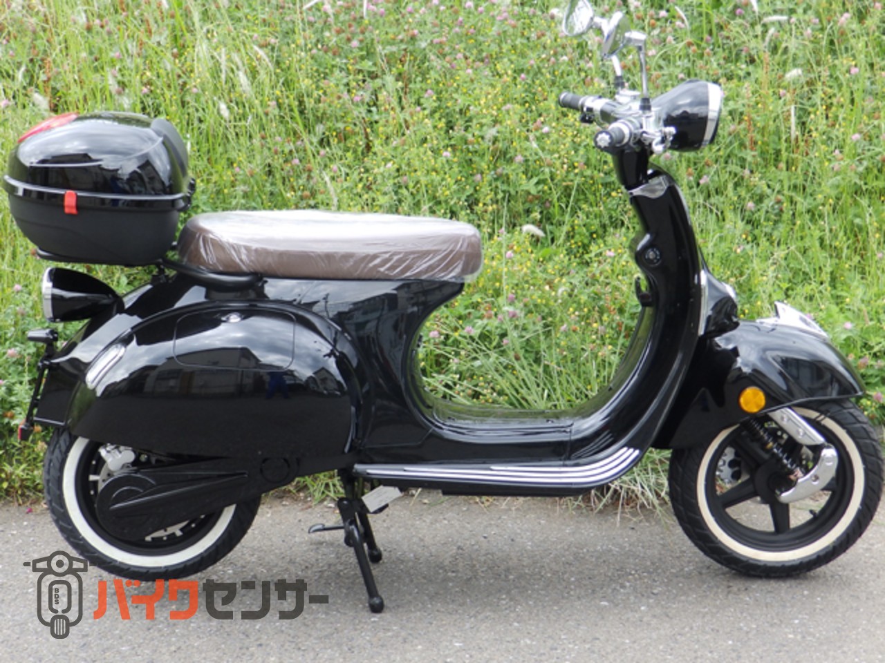 その他電動 GOLDEN LION EV3000 B325169| BDSバイクセンサー