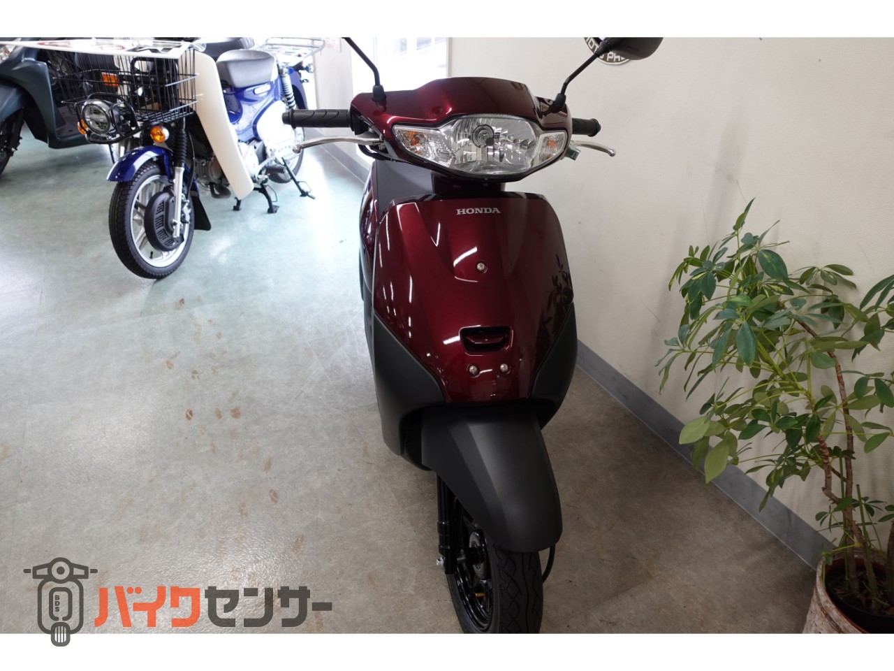 ホンダ タクトベーシック 新車 ボルドーレッド B336138| BDSバイクセンサー