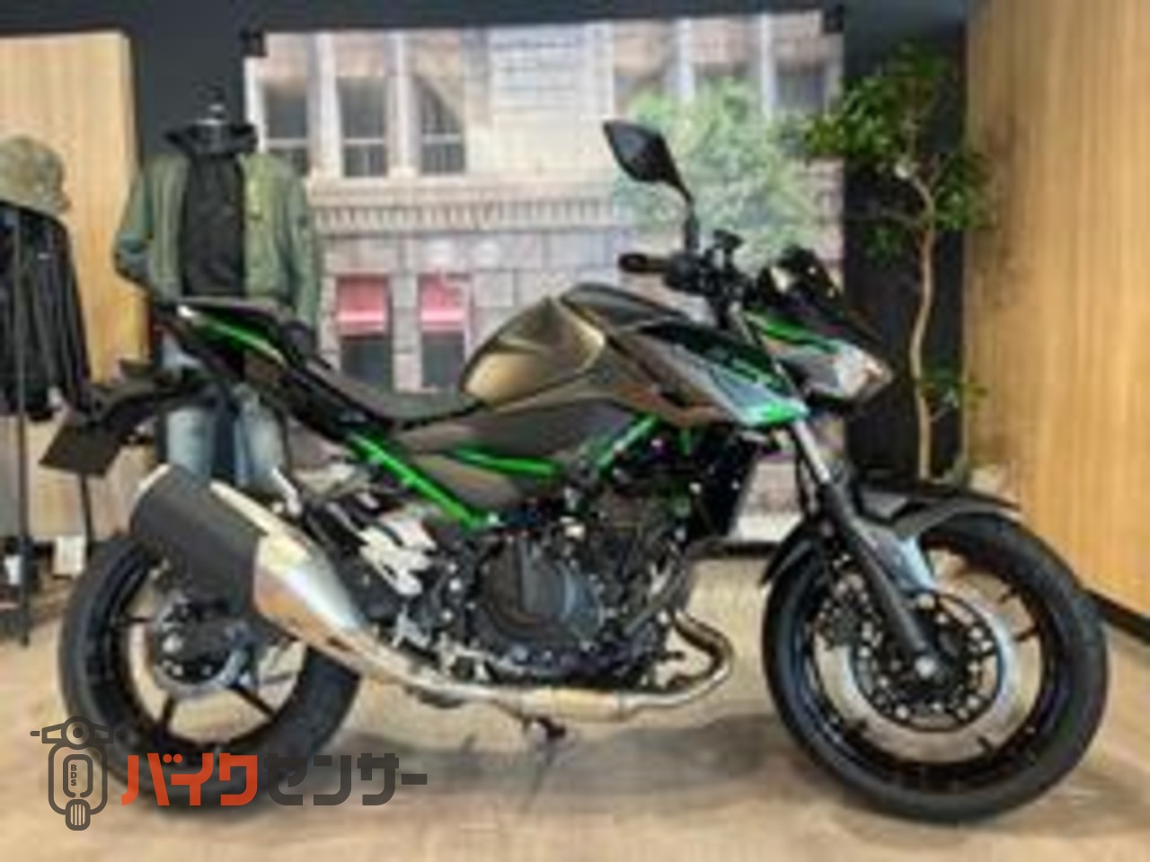 カワサキ Z250 2024モデル B356777| BDSバイクセンサー