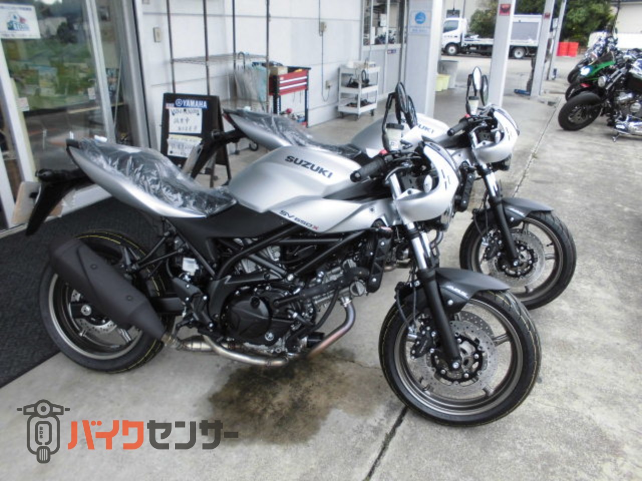 スズキ SV650X 2024モデル B369071| BDSバイクセンサー