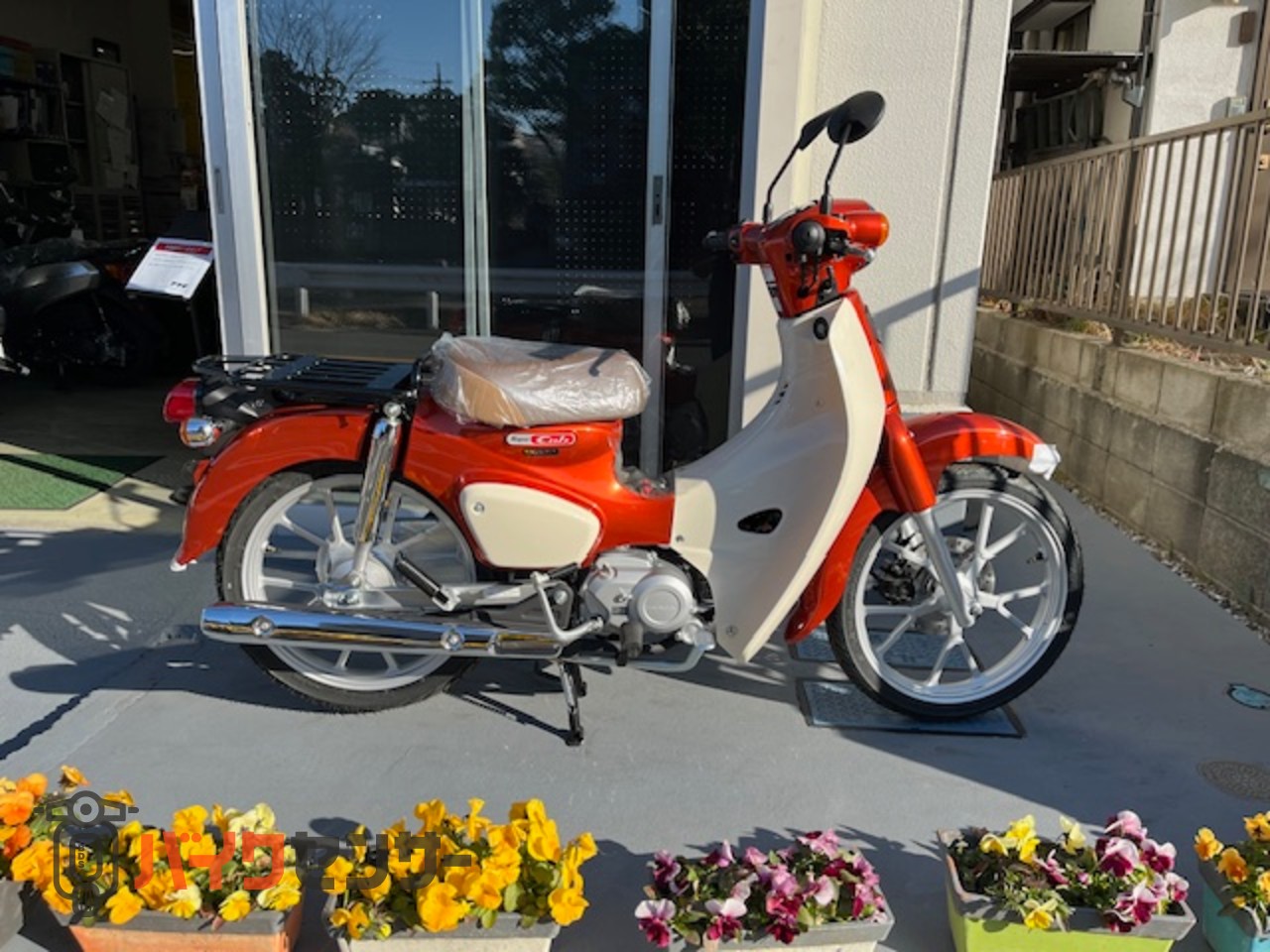 ホンダ スーパーカブ110 B418707| BDSバイクセンサー