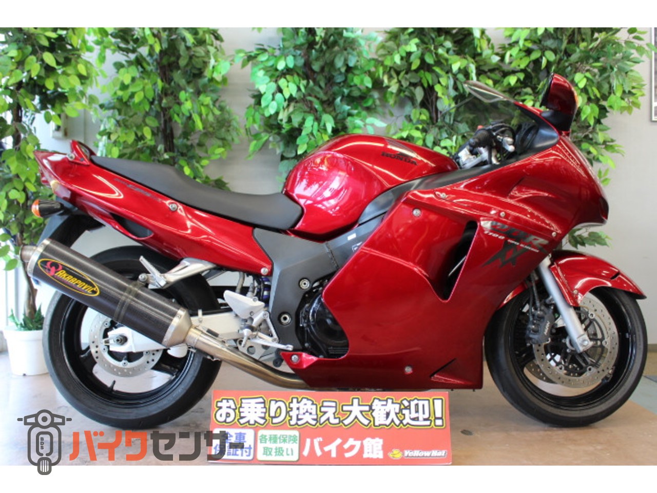 ホンダ CBR1100XX B428846| BDSバイクセンサー
