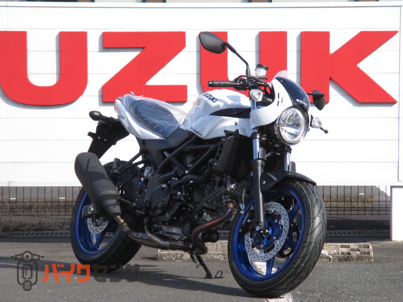 スズキ SV650X 2025モデル 新車 ABS パールテックホワイト B443591| BDSバイクセンサー