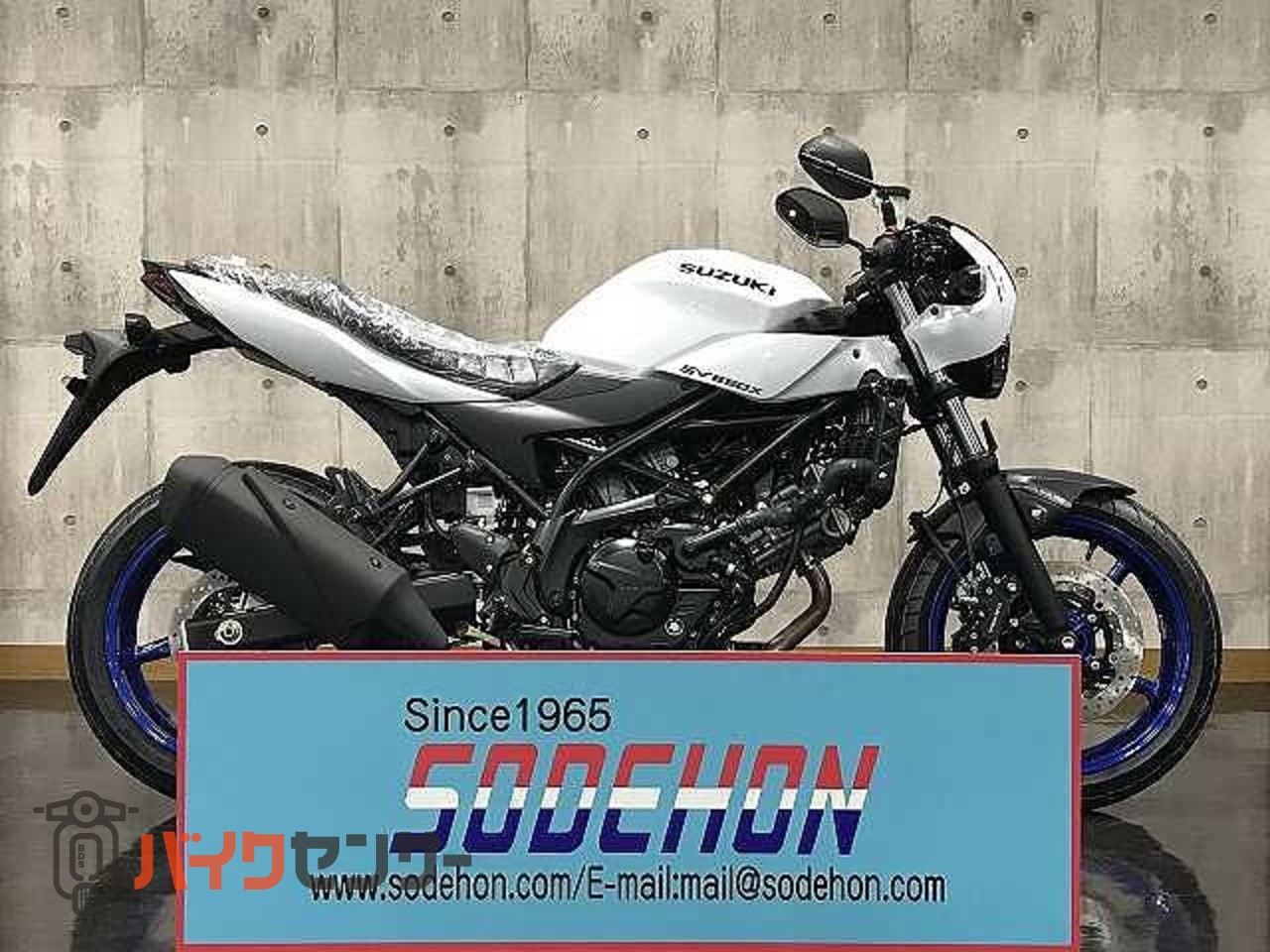 スズキ SV650X 2025年モデル パールテックホワイト B467677| BDSバイクセンサー