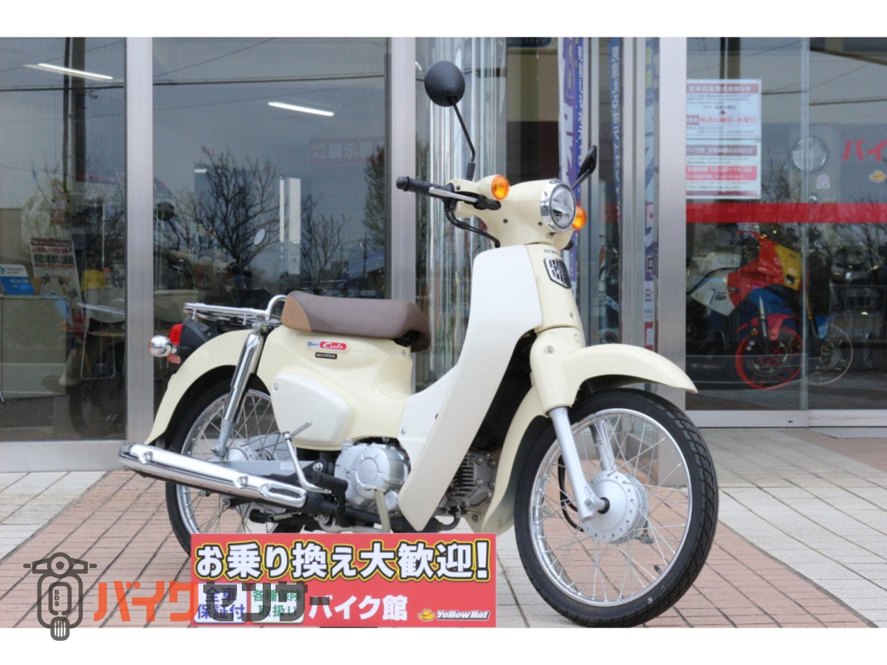 ホンダ Super CUB 50 B474355| BDSバイクセンサー