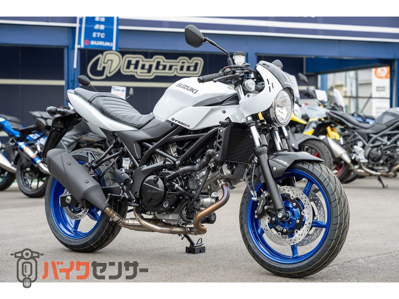 スズキ SV650X 2025年モデル パールテックホワイト B480221| BDSバイクセンサー