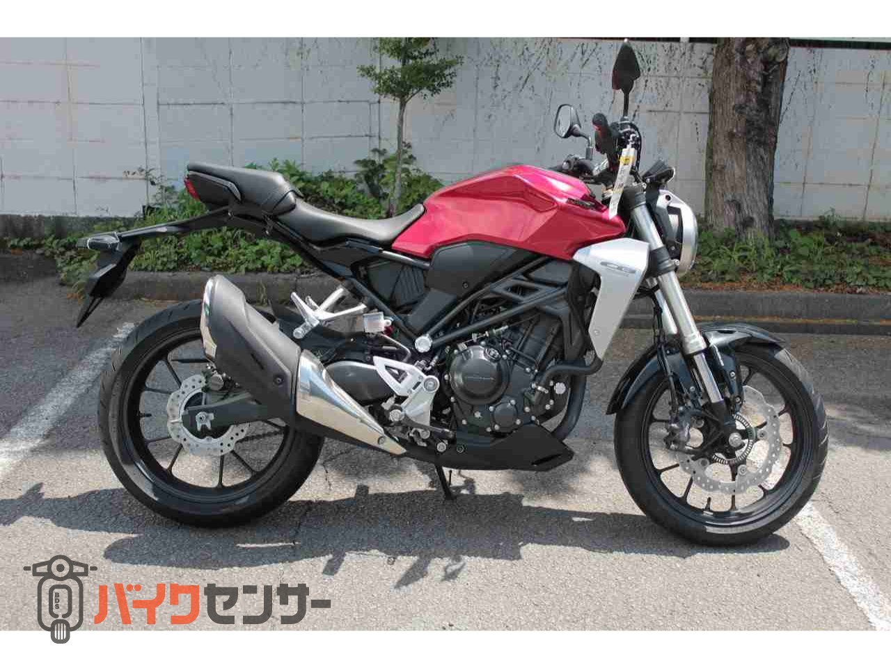 ホンダ CB250R B483782| BDSバイクセンサー