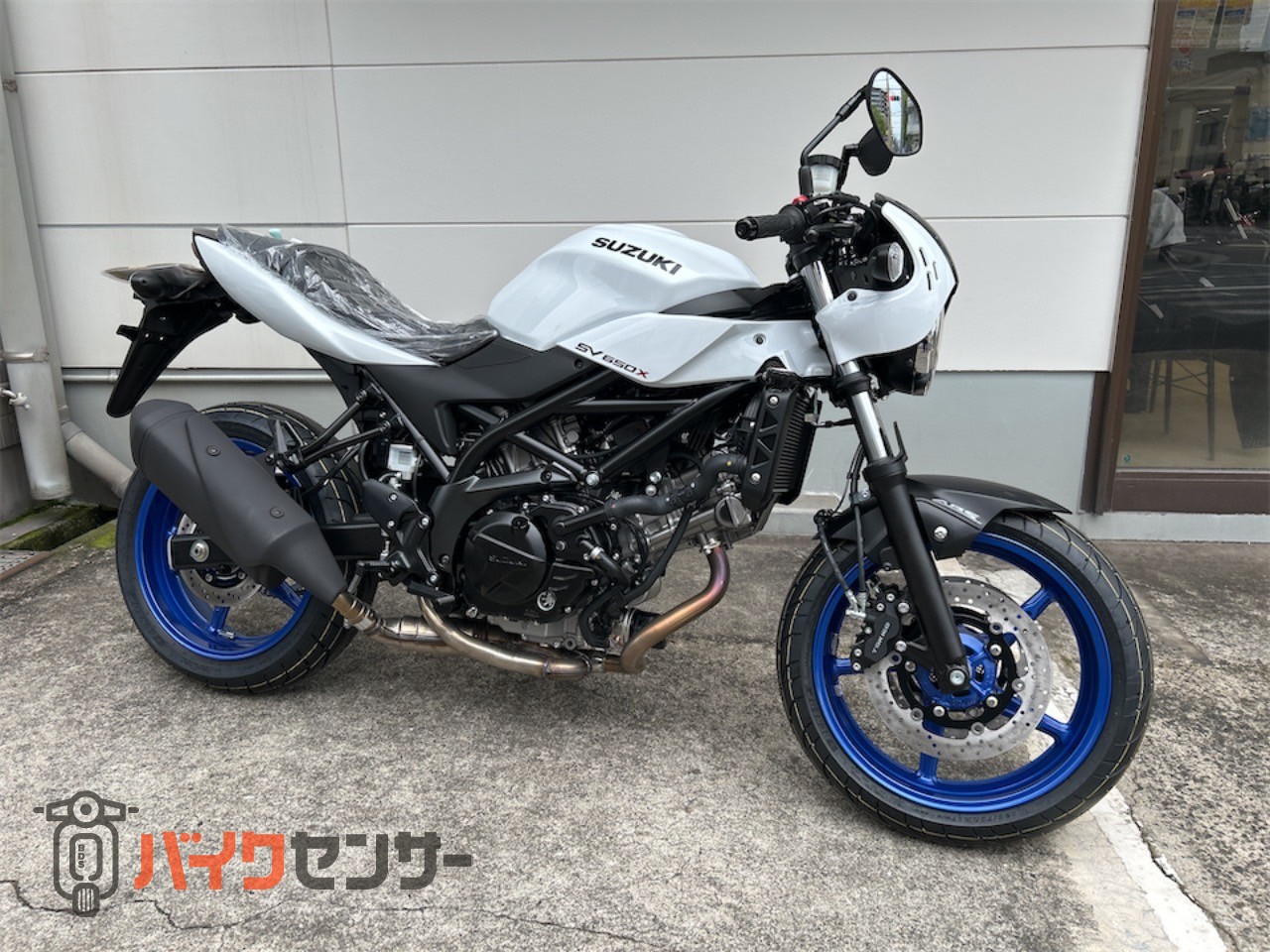 スズキ SV650X 2025年モデル B489458| BDSバイクセンサー