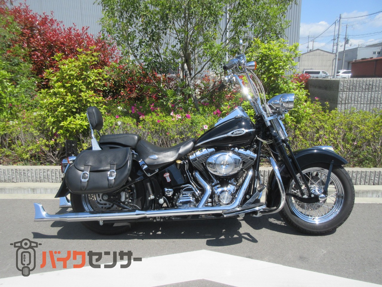 ハーレーダビッドソン FLSTSC スプリンガークラシック B489896| BDSバイクセンサー