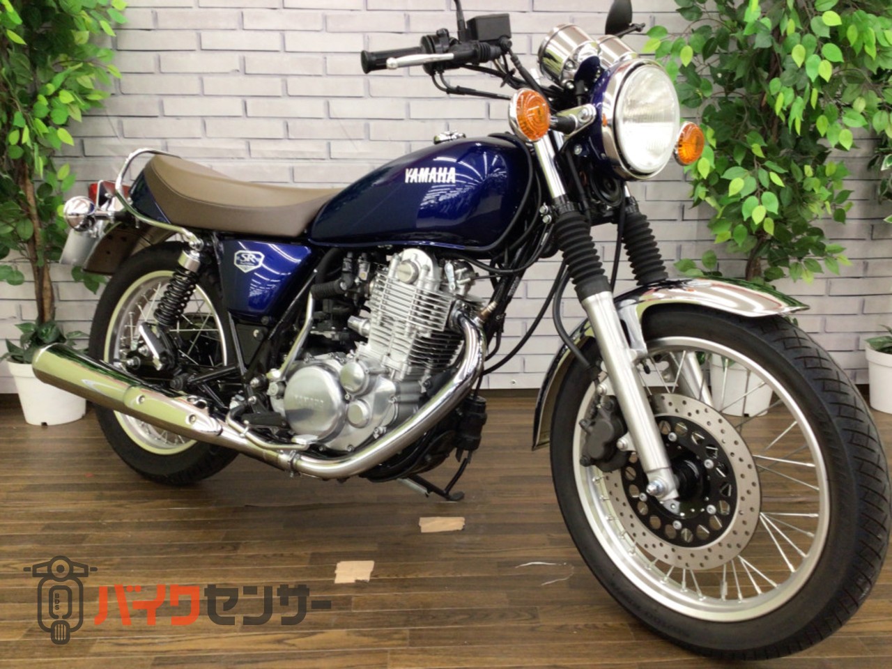 ヤマハ SR400 B505438| BDSバイクセンサー