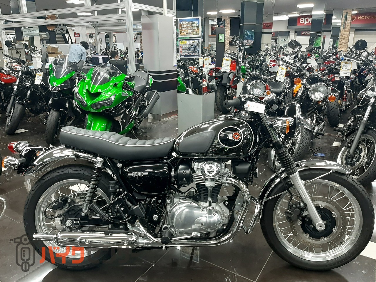 カワサキ W800 ﾒｸﾞﾛ仕様 B519965| BDSバイクセンサー