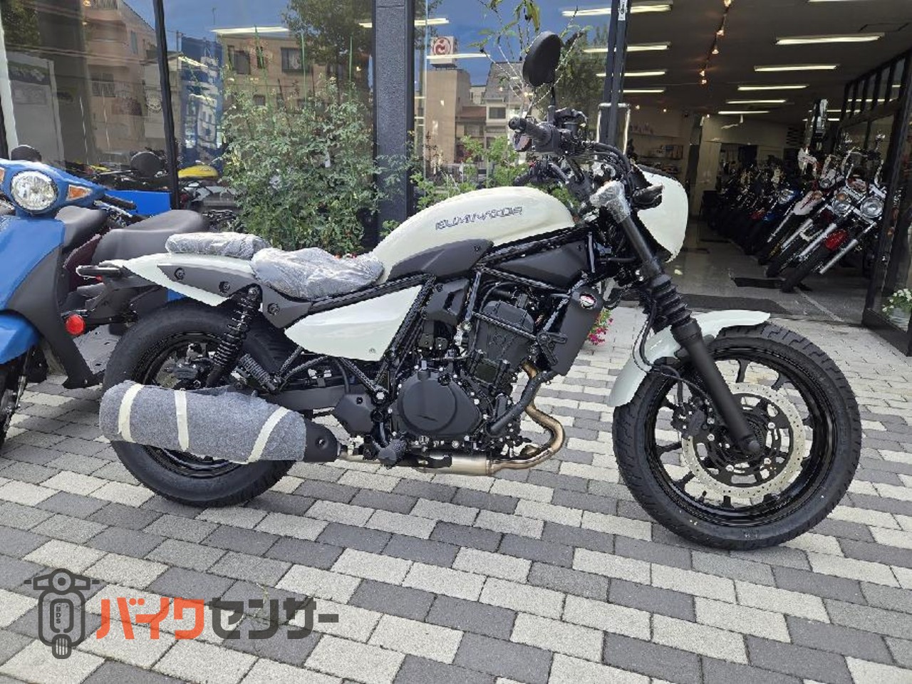 カワサキ エリミネーター B528646| BDSバイクセンサー