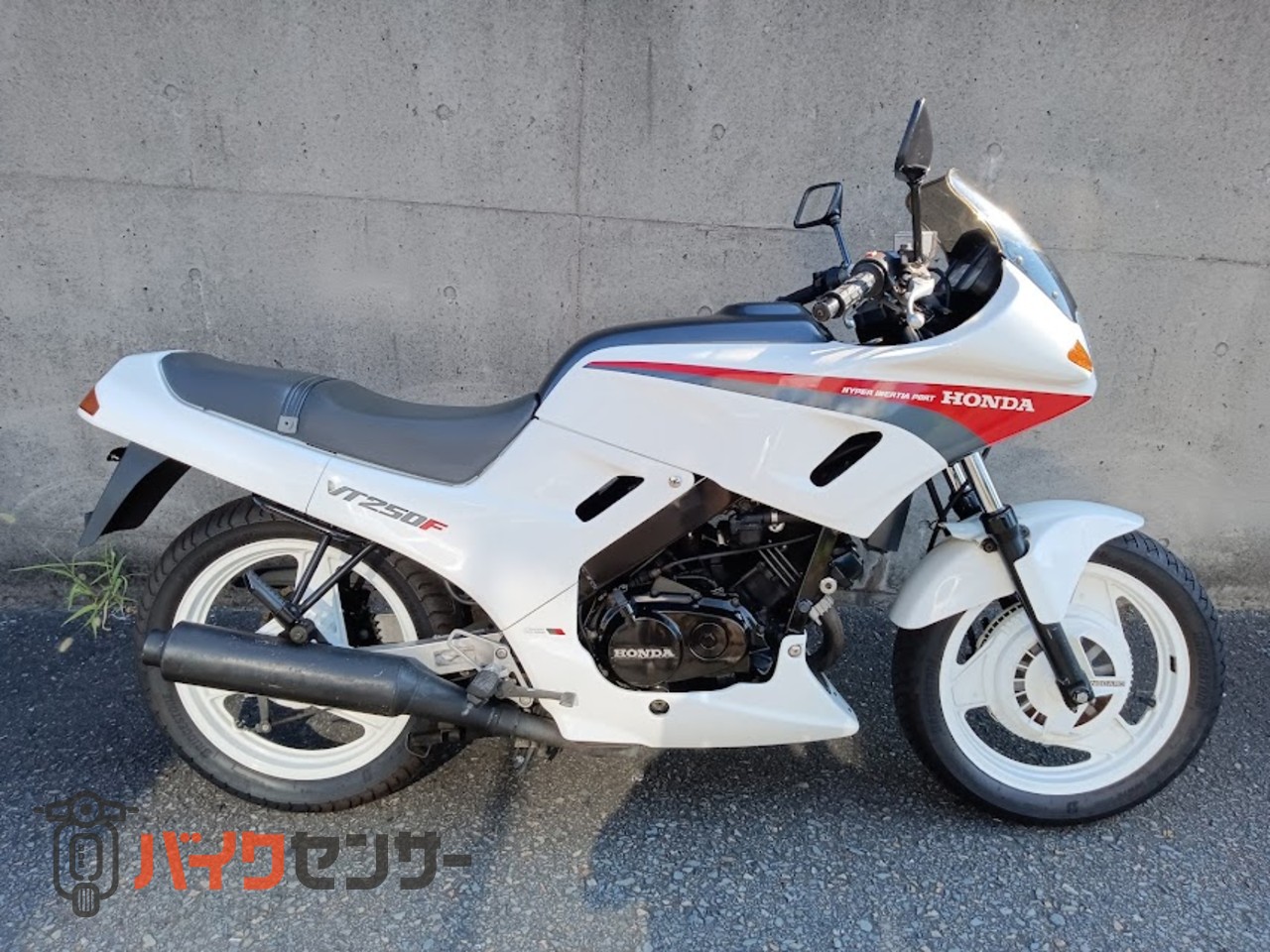 ホンダ VT250F B543809| BDSバイクセンサー