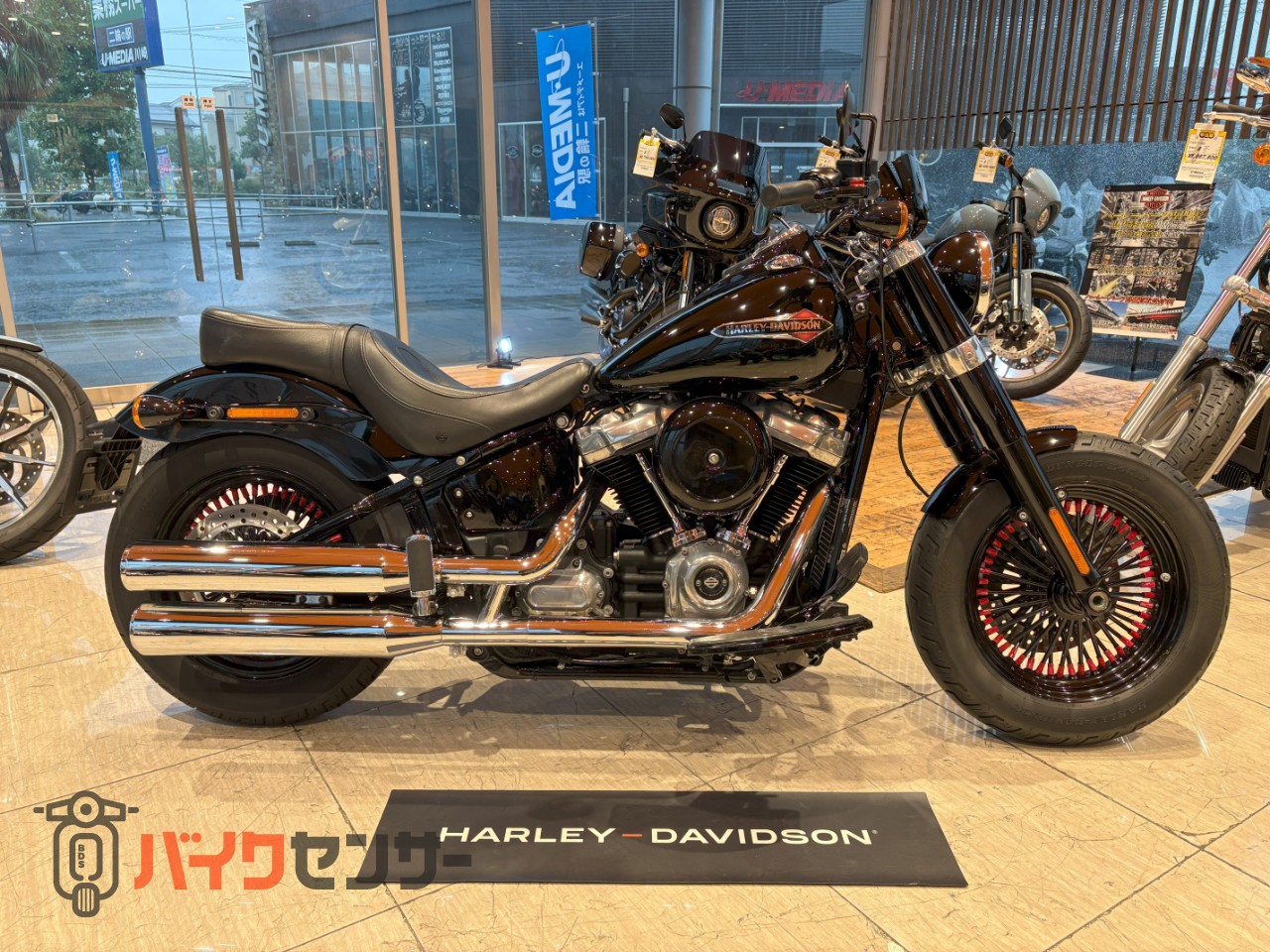 ハーレーダビッドソン FLSL ソフテイルスリム B548225| BDSバイクセンサー