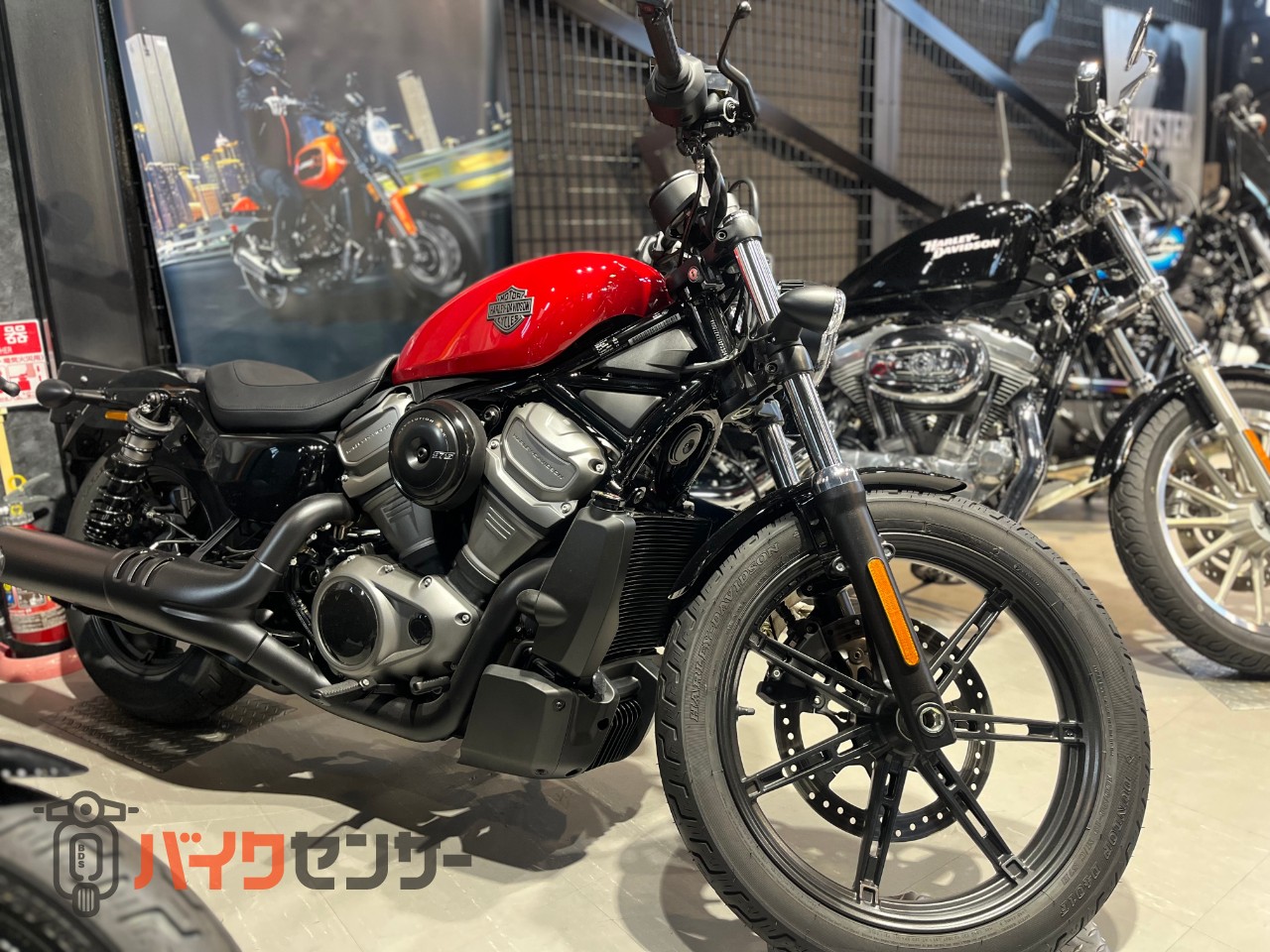 ハーレーダビッドソン RH975 ナイトスター レッドラインレッド 登録済未使用車 B582843| BDSバイクセンサー
