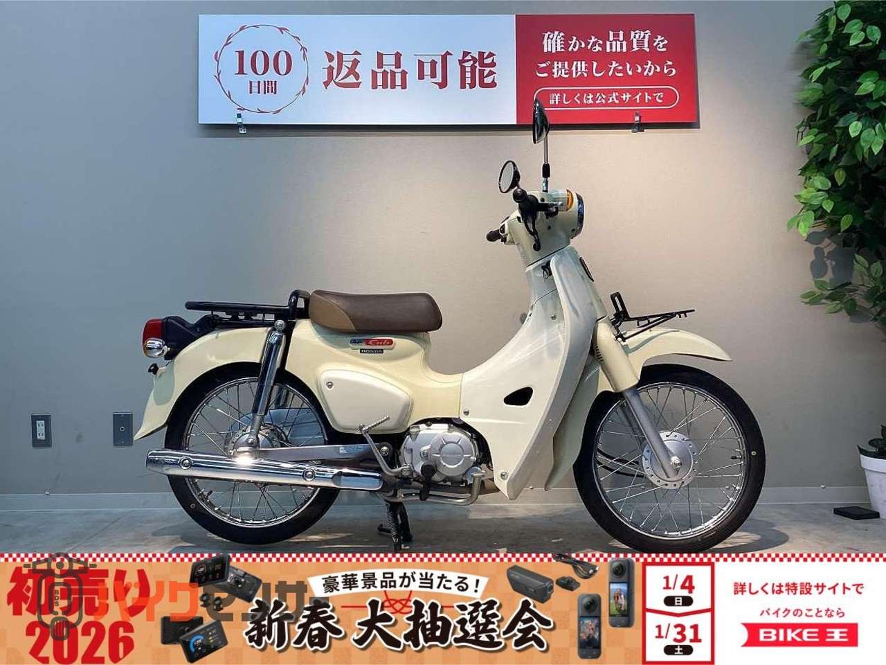 ホンダ スーパーカブ50 B598766| BDSバイクセンサー