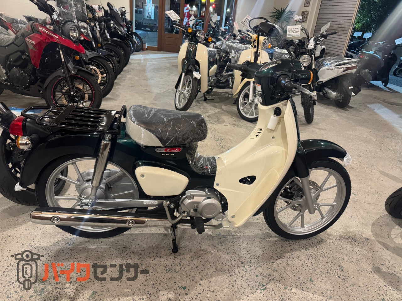 ホンダ スーパーカブ110 Lite 新基準原付 B604694| BDSバイクセンサー