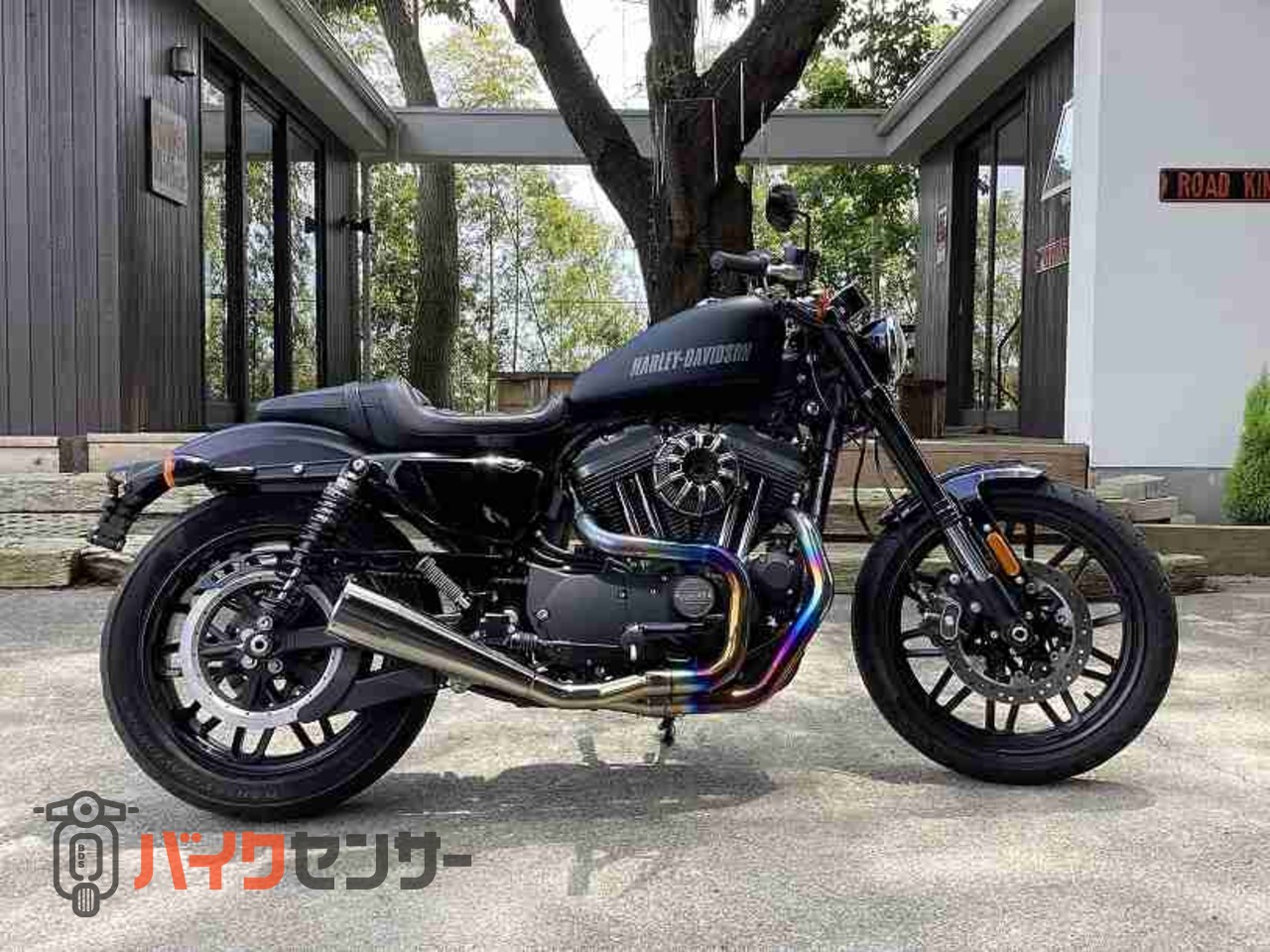 ハーレーダビッドソン XL1200CX B664205| BDSバイクセンサー