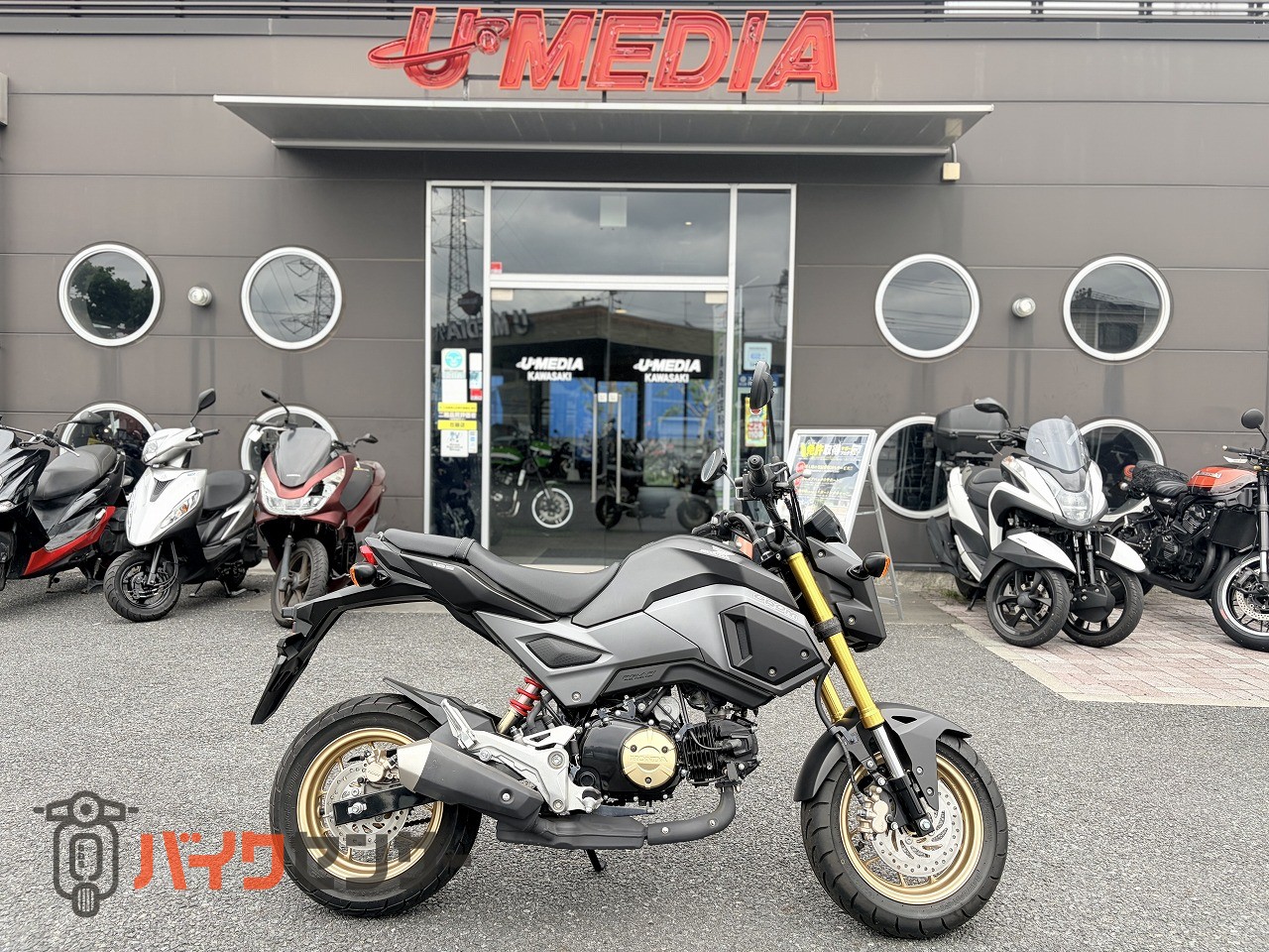 ホンダ グロム B665369| BDSバイクセンサー