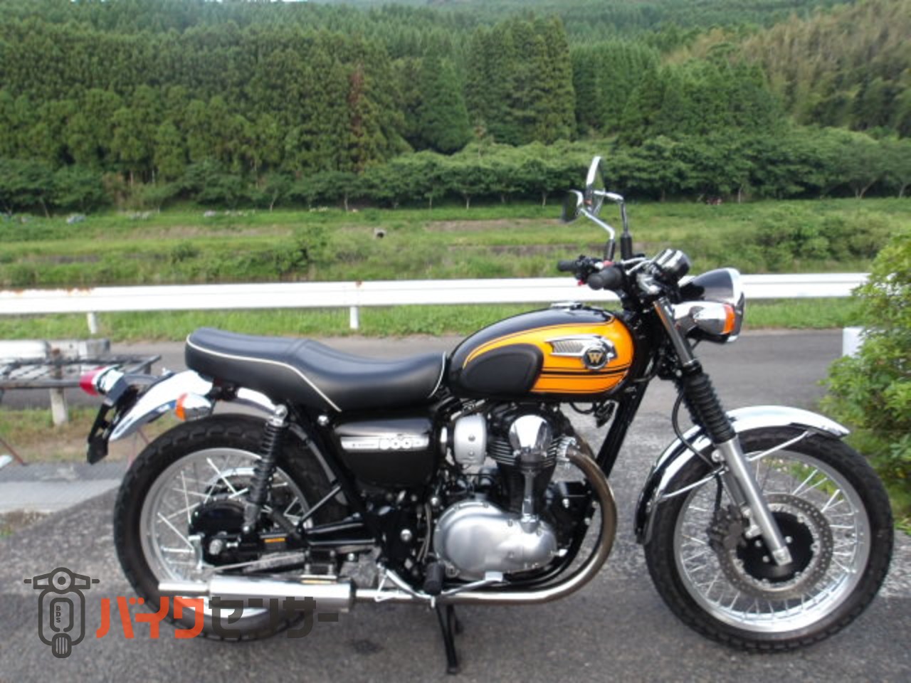 カワサキ W800 2016モデル ファイナルエデション B665620| BDSバイクセンサー