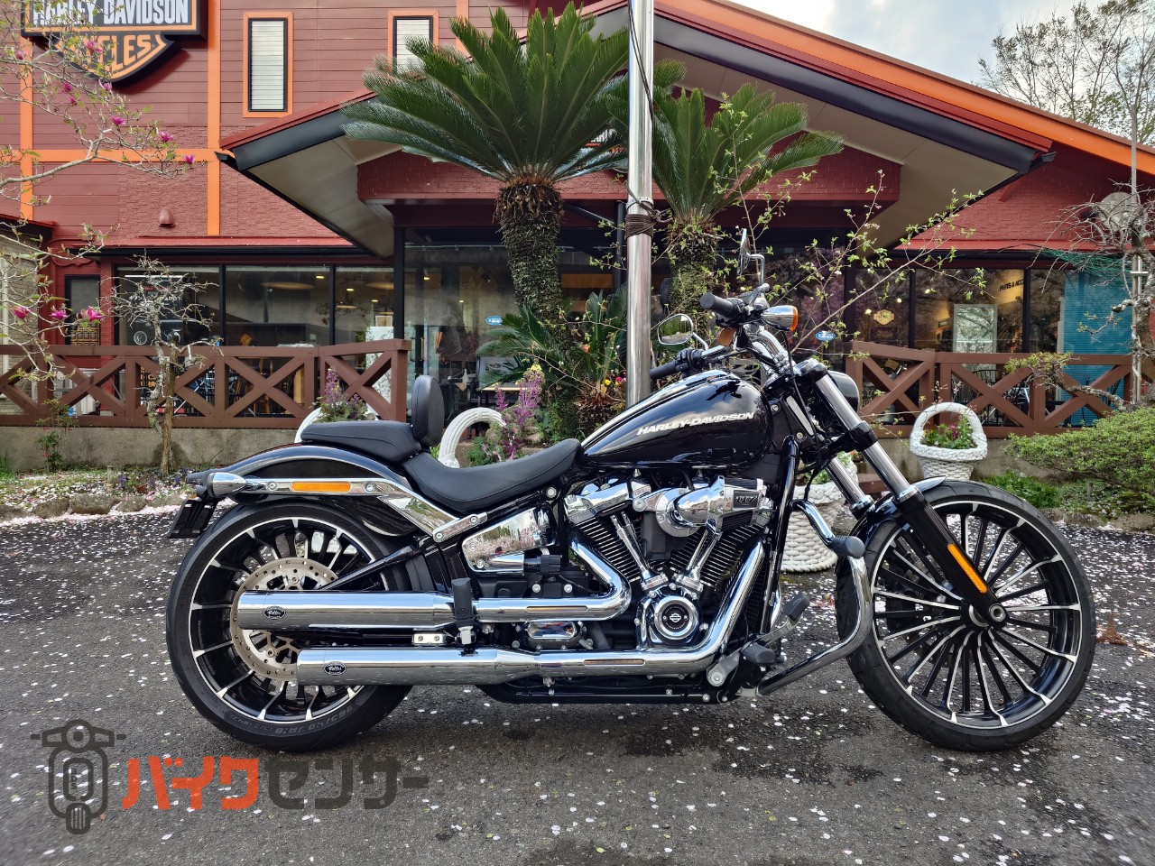 ハーレーダビッドソン FXBR ソフテイルブレイクアウト117 B665810| BDSバイクセンサー