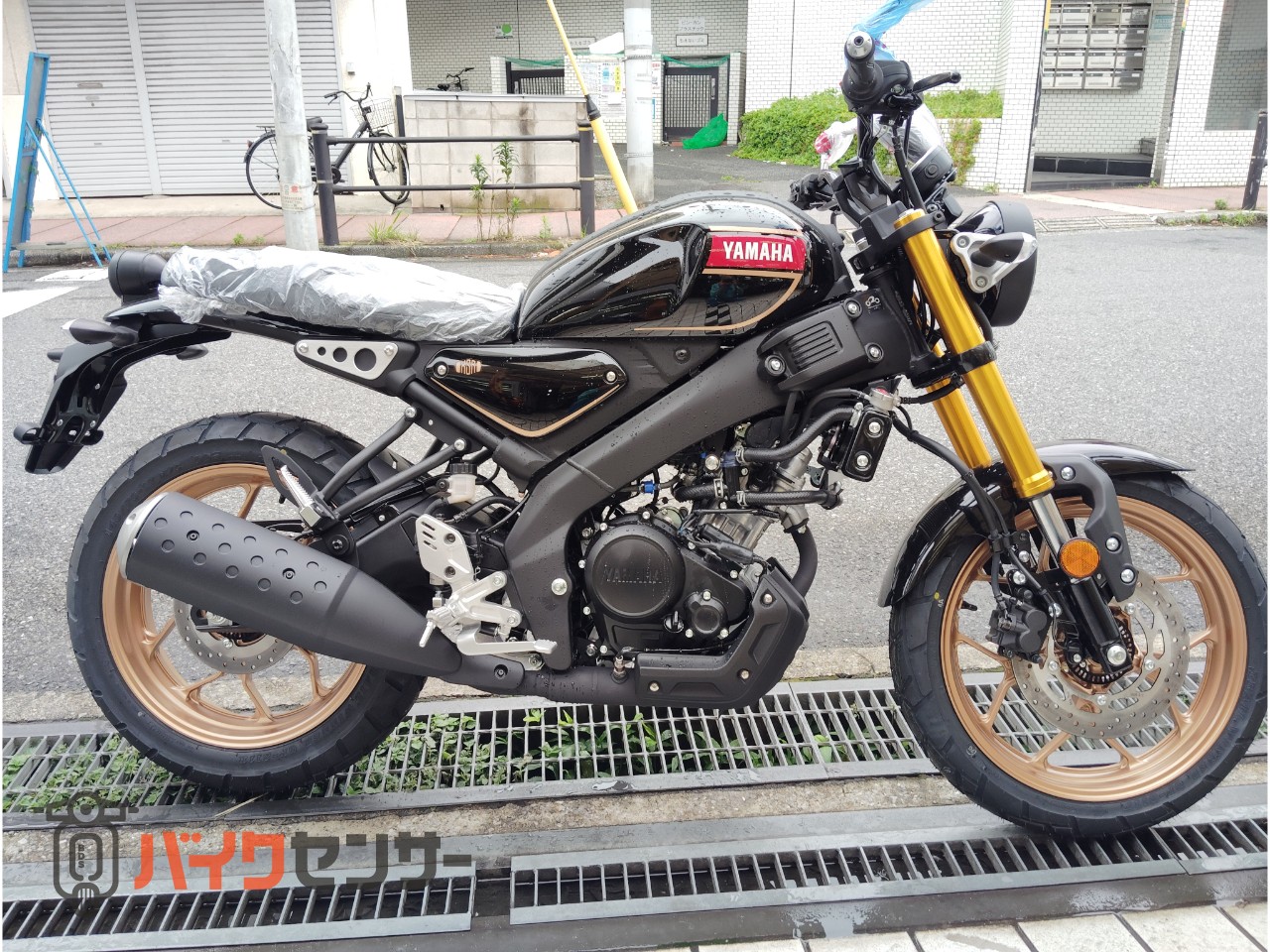 ヤマハ XSR155 2026年国内モデル新車 B666281| BDSバイクセンサー